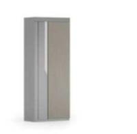 China FABLE Office File Storage Cabinets Contemporary Art-Inspired Design Organized Document Storage for sale