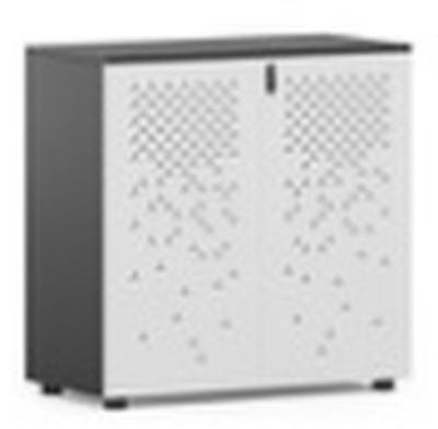 China STARLIGHT Lockable Office Storage Cabinet Sturdy Cabinet Structure Space-Saving Vertical Footprint for sale