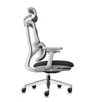 China H2 Dual-Back Support Office Task Chair with 30° Synchronous Lateral Swing and 139° Four-Gear Tilt Ergonomic Office Chair for sale