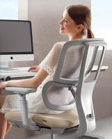 China H2 Dual-Back Support Office Task Chair with 30° Synchronous Lateral Swing and 139° Four-Gear Tilt Ergonomic Office Chair for sale