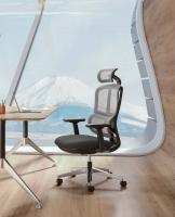 China H2 Dual-Back Support Office Task Chair with 30° Synchronous Lateral Swing and 139° Four-Gear Tilt Ergonomic Office Chair for sale