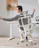 China H2 Dual-Back Support Office Task Chair with 30° Synchronous Lateral Swing and 139° Four-Gear Tilt Ergonomic Office Chair for sale