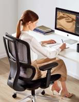 China H2 Dual-Back Support Office Task Chair with 30° Synchronous Lateral Swing and 139° Four-Gear Tilt Ergonomic Office Chair for sale