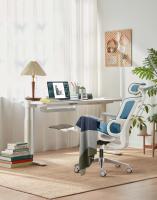 China H2 Dual-Back Support Office Task Chair with 30° Synchronous Lateral Swing and 139° Four-Gear Tilt Ergonomic Office Chair for sale