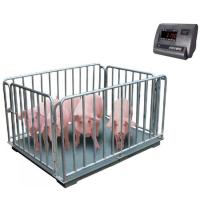 China ODM Supported 2T Digital Electronic Livestock Weighing Scale with 1-10t Capacity for sale