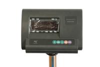 China 100kg Capacity Electronic Bench Weighing Digital Platform Scale with LCD Display for sale
