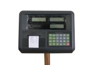China Truck Scale Indicator A9 Optional Display Type for Weighbridge Precise Weighing Result for sale