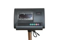 China Floor Scale Weighing Indicator with CE Certification BS-Britain Plug 100-240VAC/50-60Hz for sale