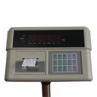 China Optional Display Type A23 Truck Scale Indicator for Floor Scale Platform Yaohua A9 for sale