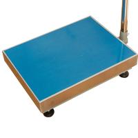 China Simple Window Display 300kg Platform Weighing Scale with Stainless Steel Indicator and High Precision Load Cell for sale
