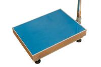 China Customized 400kg Digital Platform Scale with Carbon Steel and 500kg Weight Function for sale