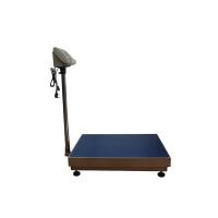 China 300kg Capacity Stainless Steel Waterproof Platform Bench Weighing Scale for Products for sale