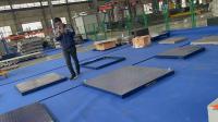 China Charge or Battery Display Type 1.2M 2T Pig Scale for Animals Customized Support OEM for sale