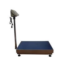 China 100kg/300kg/500kg/800kg Battery/Plower Electronic Platform Scale with Stainless Steel for sale
