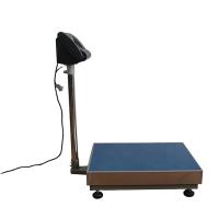 China LCD Display Electronic Platform Scale Stainless Steel 300Kg 100Kg 150kg 300kg 600kg for sale