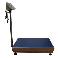 China 450*600mm Iron Material Electronic Weighing Balance with LCD Display TCS Bench Scale for sale