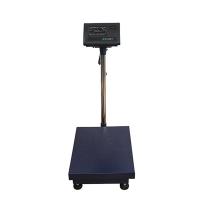 China Carbon Steel/Stainless Steel Industrial Platform Weighing Scale 100kg-800kg Customized for sale