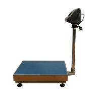 China Economical Custom Design Stainless Steel Digital Platform Weighing Scale for Industrial for sale