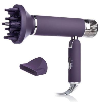 China Curly Hair Commercial Salon Hair Dryer With Diffuser Attachment for sale