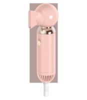 China Small Ionic Portable Mini Hair Dryer 800W Powerful With DC Motor for sale