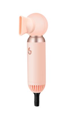 China Custom Logo Ionic Pet Hair Dryer Portable 800W Power Multipurpose for sale