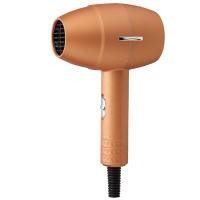 China Dual Voltage Lightweight Blow Dryer , DC Hair Dryer With Concentrator Diffuser for sale