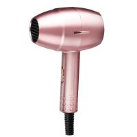 China Dual Voltage Lightweight Blow Dryer , DC Hair Dryer With Concentrator Diffuser for sale