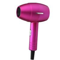 China Dual Voltage Lightweight Blow Dryer , DC Hair Dryer With Concentrator Diffuser for sale