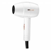 China Dual Voltage Lightweight Blow Dryer , DC Hair Dryer With Concentrator Diffuser for sale