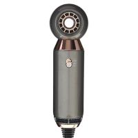 China Professional Negative Ionic Blow Dryer High Speed For Salon Household for sale