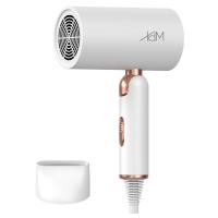 China 1800 Watts High Speed Hair Dryer Protable With Magnetic Concentrator for sale