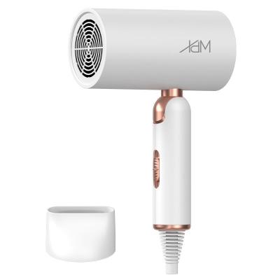 China 1800 Watts High Speed Hair Dryer Protable With Magnetic Concentrator for sale