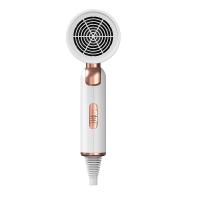 China 1800 Watts High Speed Hair Dryer Protable With Magnetic Concentrator for sale