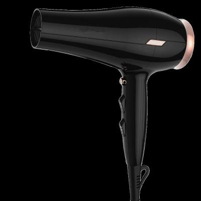 China Professional Home Ionic Hair Dryer With DC Motor for sale