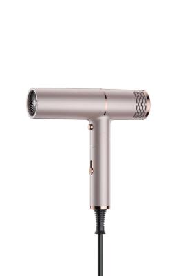 China Foldable Handle Compact Lightweight Hair Dryer Constant Temperature Without Damaging Hair for sale