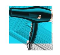 China Black Plastic Professional AC Hair Dryer With Far Infrared Ionic Function for sale