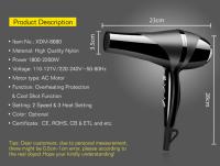China Profressional AC Motor Far Infrared Hair Dryer With Ionic Function for sale
