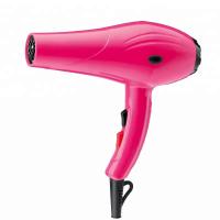 China DC Motor Professional Hair Blow Dryer With Concentrator Diffuser Ionic Function for sale