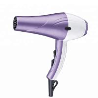 China DC Motor Professional Hair Blow Dryer With Concentrator Diffuser Ionic Function for sale