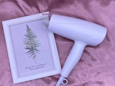 China Lightweight 1000w Hair Dryer Compact For Professional Precision Styling for sale