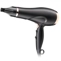China 220V Plastic Professional Salon Hair Dryer With Ionic Function for sale