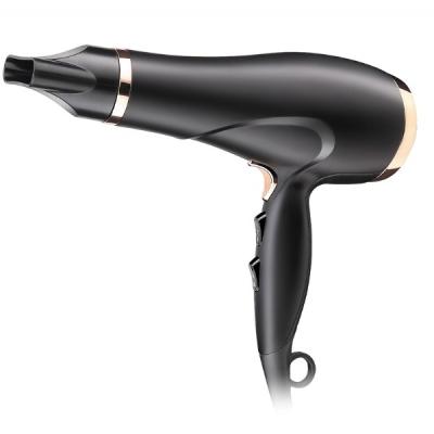 China 220V Plastic Professional Salon Hair Dryer With Ionic Function for sale