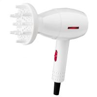 China Axial Flow Dual Voltage Electric Hair Dryer For Travel Home Use for sale