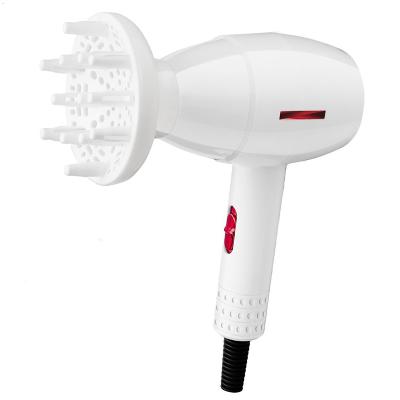 China Axial Flow Dual Voltage Electric Hair Dryer For Travel Home Use for sale