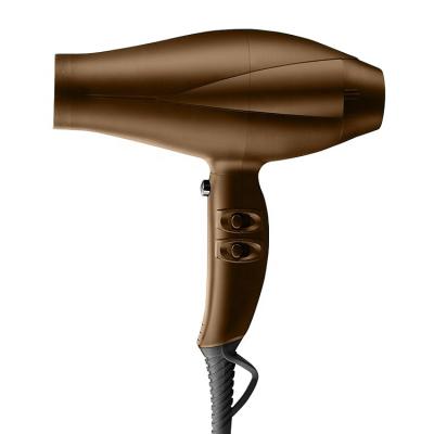 China Far Infrared Ray Ceramic Low Noise Hair Dryer Double Voltage With Ionic Function for sale