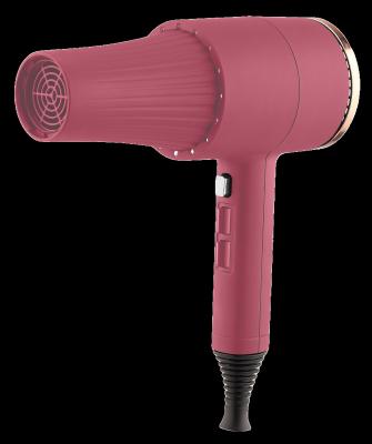 China Separated Cool Shot 2200W Professional Salon Hair Dryer With Removable End Cap for sale