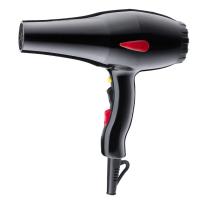 China Commercial Professional Ionic Salon Hair Dryer For Salon Barber Travel for sale