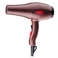 China Commercial Professional Ionic Salon Hair Dryer For Salon Barber Travel for sale