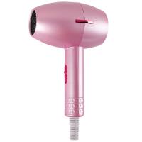 China Axial Flow Dual Voltage Electric Hair Dryer For Travel Home Use for sale