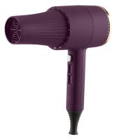 China 110V 220V Far Infrared Hair Dryer With Concentrator Ionic Function for sale
